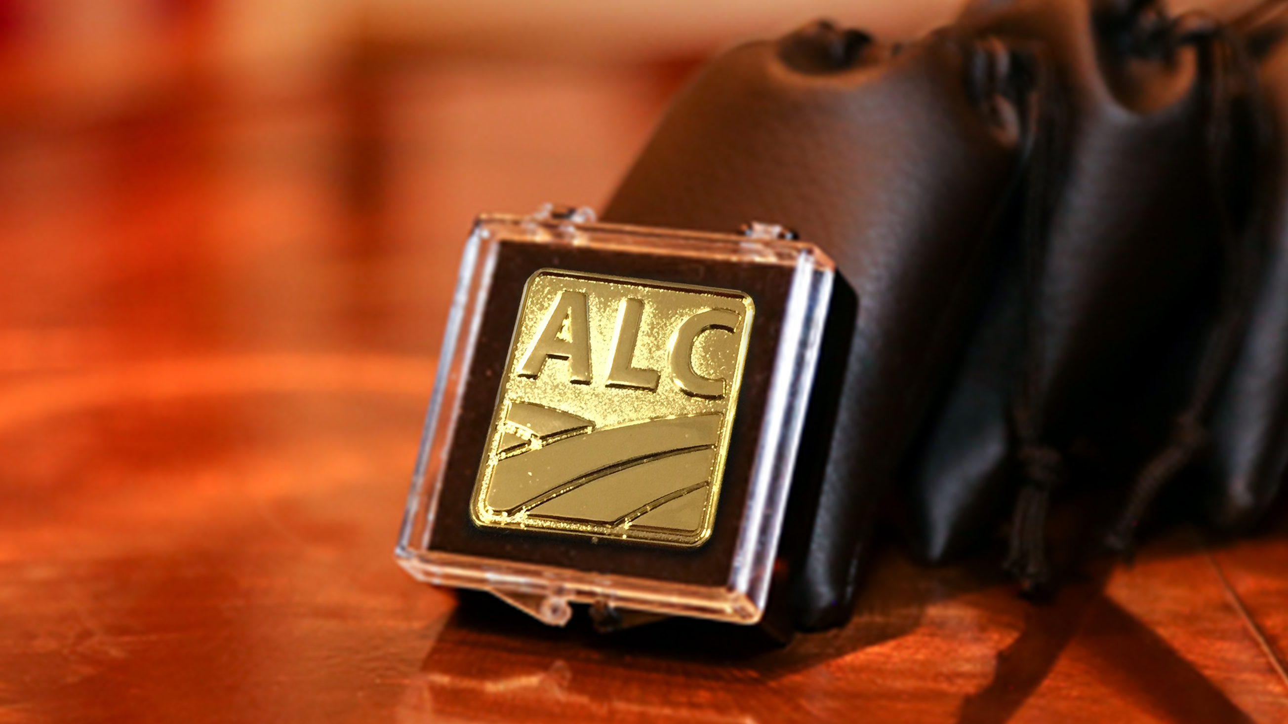 RLI Florida > Learn > ALC Designation